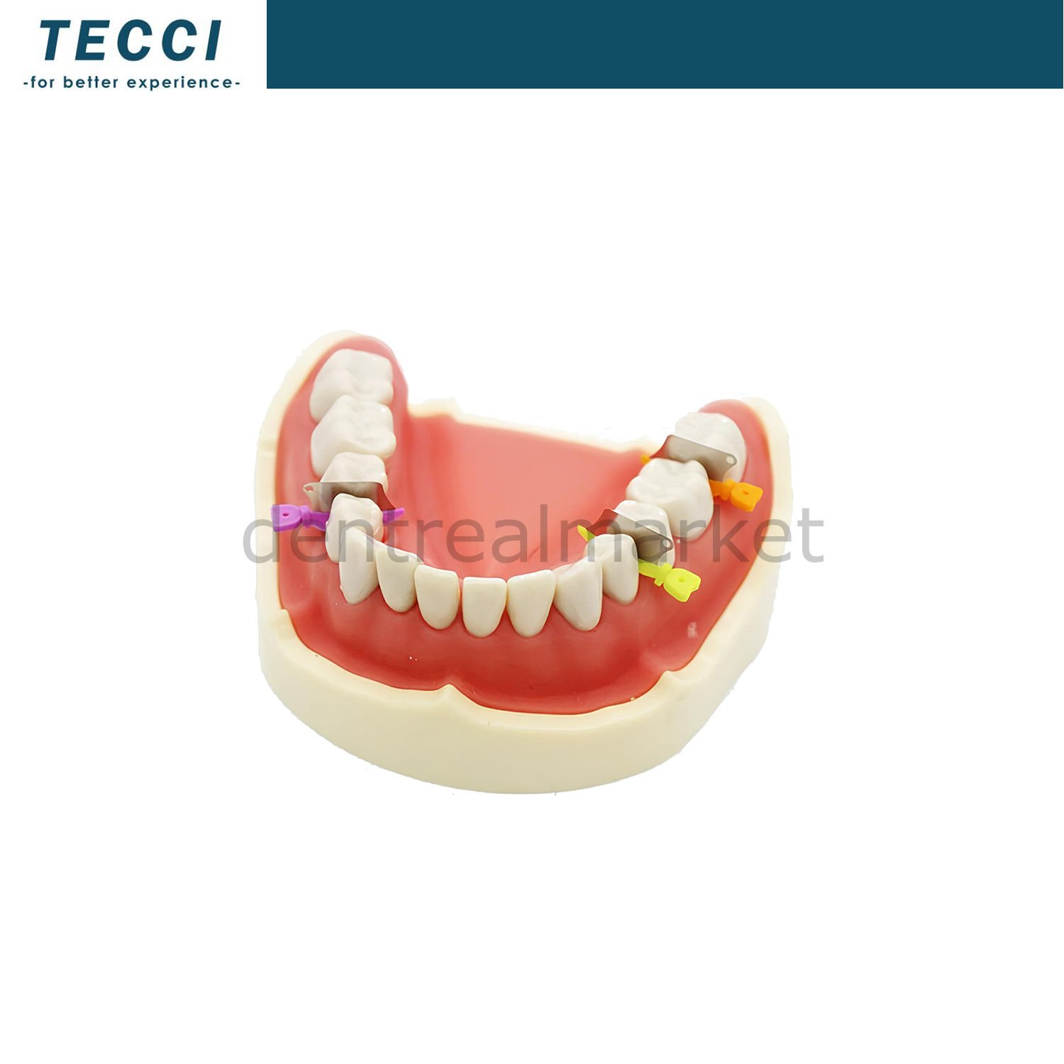 Tecci Wedge Guard - Koruyucu Kama | Tecci